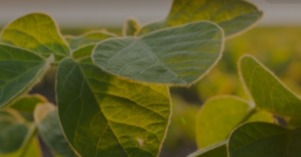 Verde Announces 1.35 Billion Tons of Maiden Mineral Resource Estimate ...