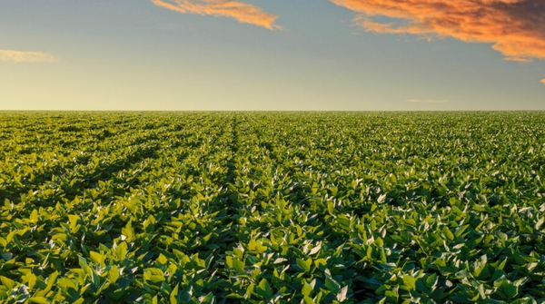 Verde to Present at the Morgan Stanley Global Chemicals, Agriculture ...